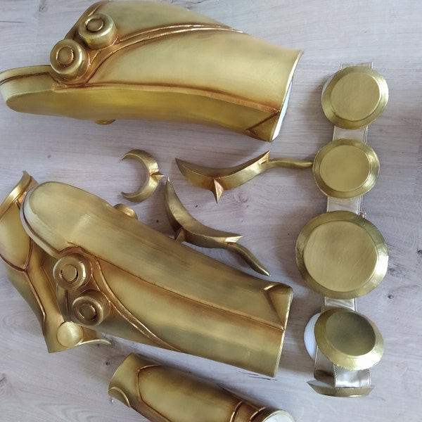 PRE ORDER Princess Zelda Legend of Zelda Hyrule Warriors Armor Cosplay ...