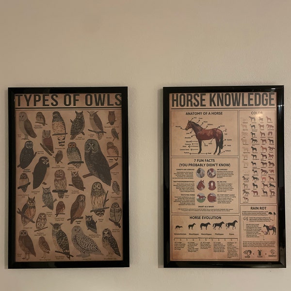 Types of Dragon Knowledge Art Print, Dragon Knowledge Decor, Vintage ...