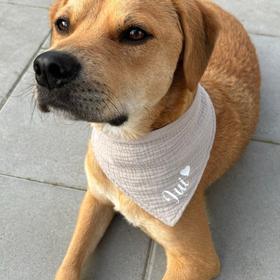 3-way Adjustable Rope Leash, Dog Leash, Guide Leash, Dog Accessories ...