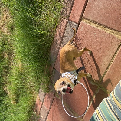 Fitted Bellus3d 3d Printed Masks - Etsy