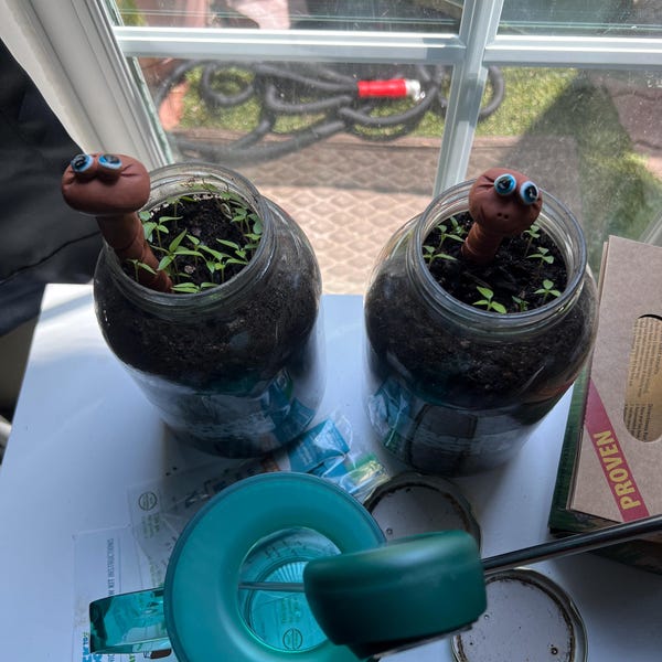 Set of Three Garden Worms Water Sensor Worms for Your Garden or ...