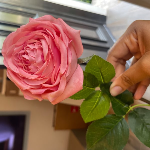 Pink Coral Cabbage Roses Old English Roses Real Touch Silk Roses DIY ...