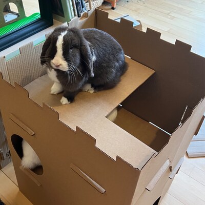 The Castle Corrugated Cardboard Castle for Bunny Rabbits & Cats - Etsy UK