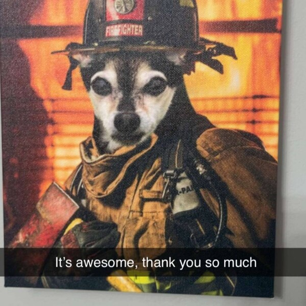 Firefighter Pet Portrait, Firefighter Gift Ideas, Fire Fighter Dog ...