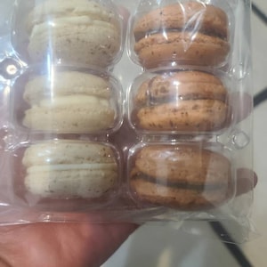 6 Pack Macaron Clamshell PET | Etsy