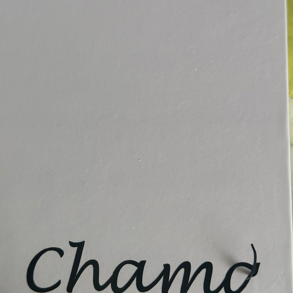 Personalised Text Vinyl Sticker | Word, Name Sticker | Cut Fancy Font ...