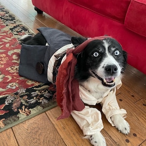 Princess Peach Dog Costume Mario Kart Costume Halloween Dog - Etsy