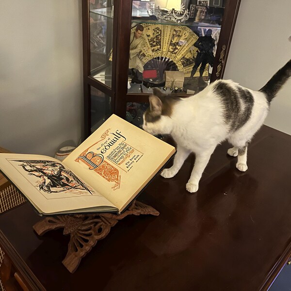 Diamond Ring 14 Karat White Gold/fancy Two Stone Diamond Ring - Toi Et ...