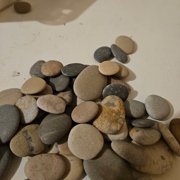 Bulk of 100 Pebbles, Flat & Colorful Genuine Beach Stones, Medium to ...