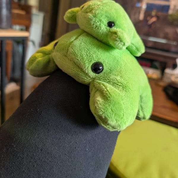 Tarantula Spider Cute Fluffy Spider Bean. Bean Bag Spider. Cute Spider ...