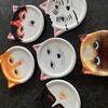 Set of 4 Pottery Barn Beer Dishes Plates 8.25" Lager Ale Porter Art ...