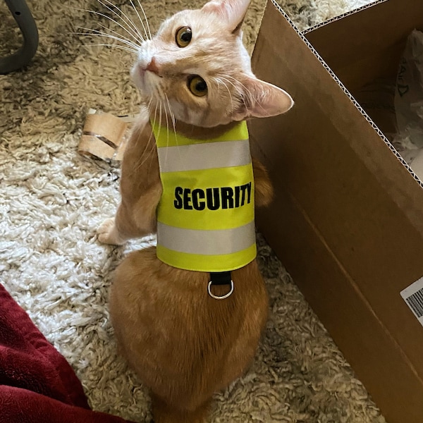 Security. Water-repellent Green Safety Cat Harness With Reflective ...