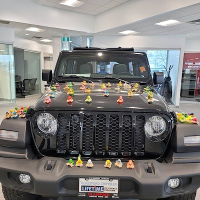 Buck Buck Bronco Ducks Horse Duck Tag for Bronco Rubber Ducks Youve ...