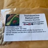 Tromboncino Rampicante Huge Italian Heirloom Zucchini Squash Vegetable ...