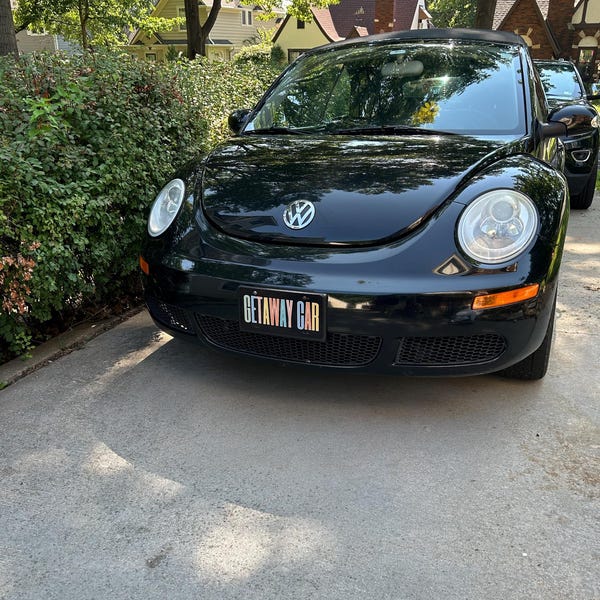 Wildflower License Plate, Cute Floral License Plate, Cute Car Accessory ...