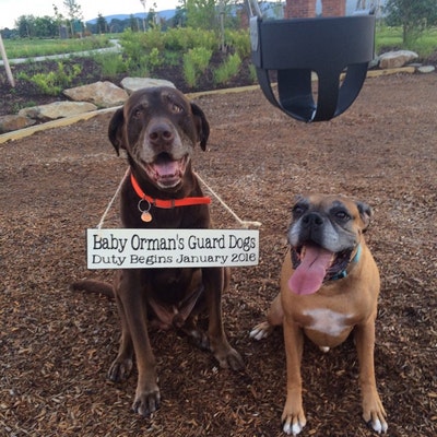 Pregnancy Announcement Dog Sign Expecting Baby Guard Photo Prop Include ...