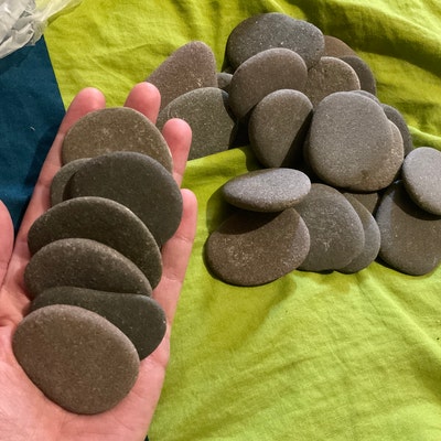 Pebble People 6 Coloured Dogs Pebblessmoothish and Flatish - Etsy