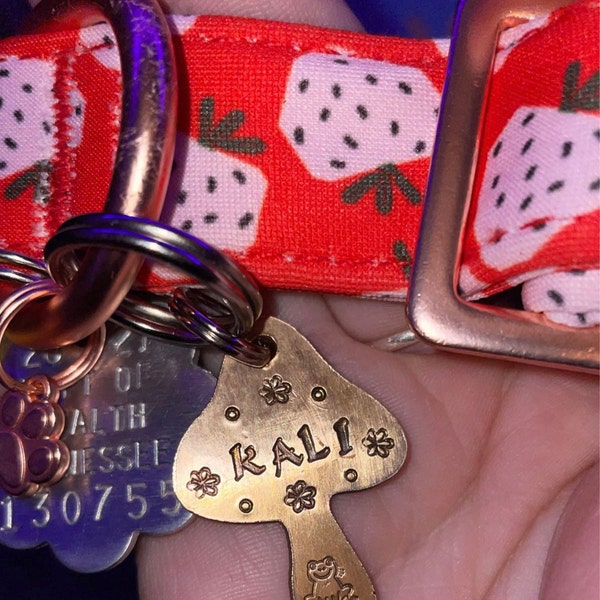 Dog ID Tag - Whimsical Dog Tag - Dog Tag for Dogs - Mushroom Shaped Dog ...