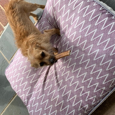 Lof Dog No Pull H-type Harness With Handle, Designed to Fit Dogs Body ...