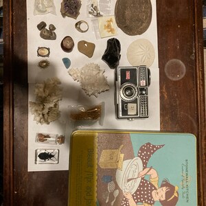 Magpie Mystery Jar Found Object Crow Collection Trinkets, Treasures ...