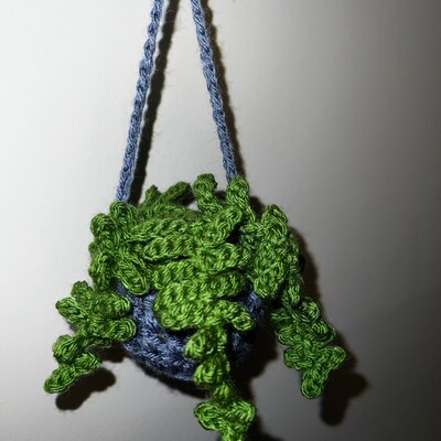 Car Fern Crochet PATTERN by Pamelambie Car Plant - Etsy