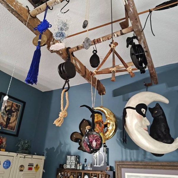 Mini Wet Specimen Mystery Box Fluid Preserved Taxidermy Oddities ...