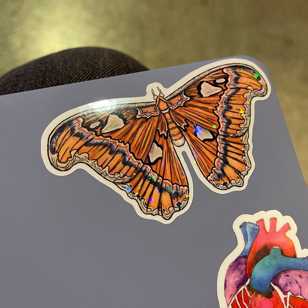 Holographic Atlas Moth Sticker, Laminated Stickers, Water Resistant ...