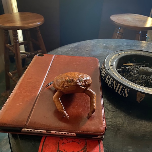 Leather Wallet Cane Toad Purse Realistic Frog Decoration Coin Pouch ...