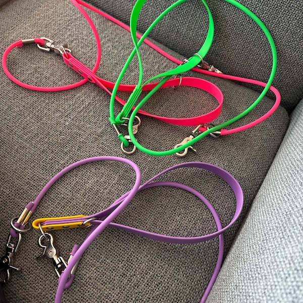 Custom Order | Biothane® Rope Slip Lead Leash (single or Bundle) - Etsy
