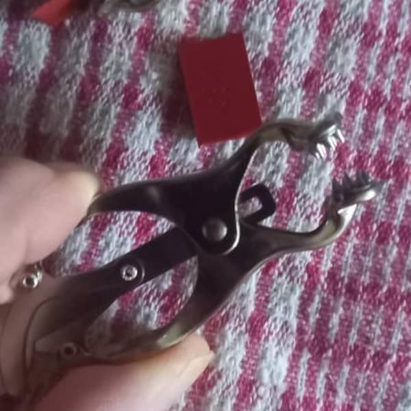 Spiked Clover Nipple Clamps: (pair) BDSM Fetish Sex Toy - Etsy