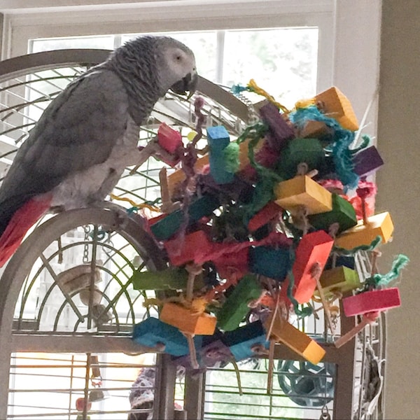 EXTRA LARGE Parrot Toy the Wood Forager Macawcockatooafrican Grey - Etsy