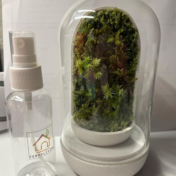 Cryomoss Live Moss Terrarium: the Time Capsule (S) - Mini Ecosystem ...