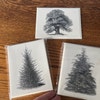 Pine Tree Note Card Set of 10 in White or Light Ivory With Matching ...