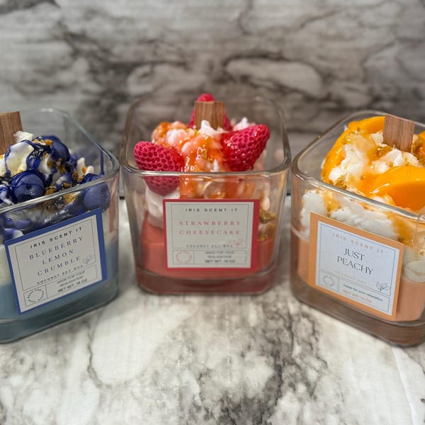 Airplane Wax Embeds, Plane Embeds, Wax Planes, Wax Embeds, Unique ...