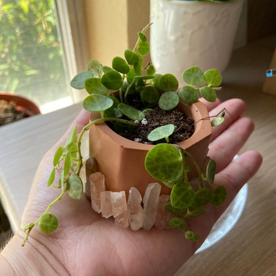 Crystal Point Cement Planter/ Mini Hexagonal Pot/ Crystal Healing ...