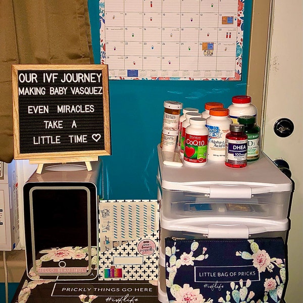IVF Medication Bag, IVF Med Bag, IVF Bag, Ivf Gift, Worth Every Shot ...