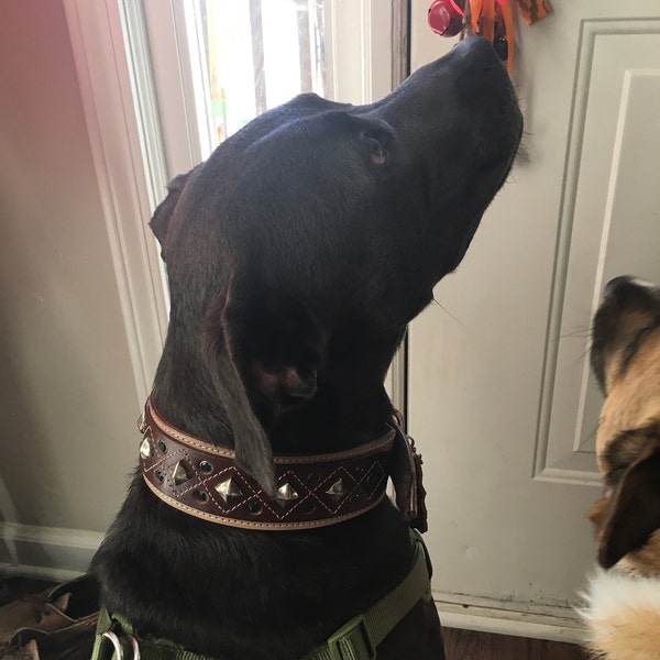 Wide 2 Inch Luxury Soft Padded Leather Dog Collar for Large Dogs ...