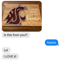 Buy Seahawks String Art Made to Order Online in India - Etsy