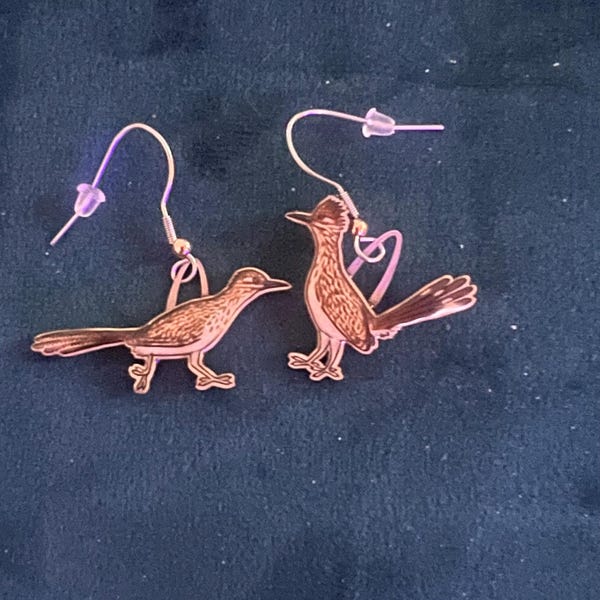 Roadrunner Jabebo Earrings, Inspire Curiosity With Cereal Box Cardboard ...
