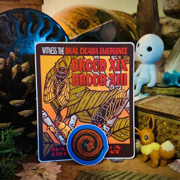 Cambrian Kids Remember Iron-on Patch / Paleontologist / Paleontology ...