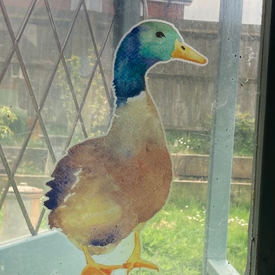 Duck Window Stickers, Duck Window Decal, Spring Duck Window Sticker ...