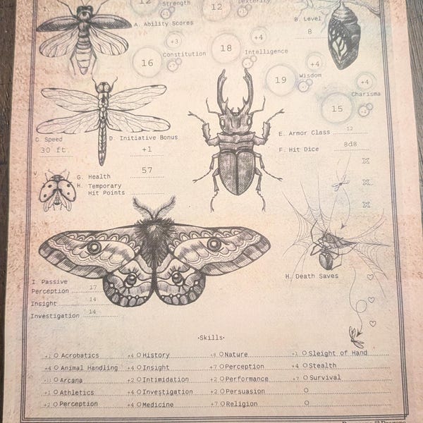 Flora & Fauna - Druid Character Sheet - Dungeons and Dragons 5e - Etsy UK