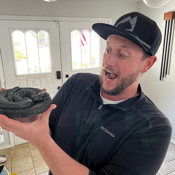 Rattlesnake Concrete Statue - Home or Garden Decor, Cement Statue, Lawn ...