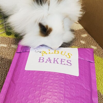 Sample Treat Packs for Rabbits - Etsy