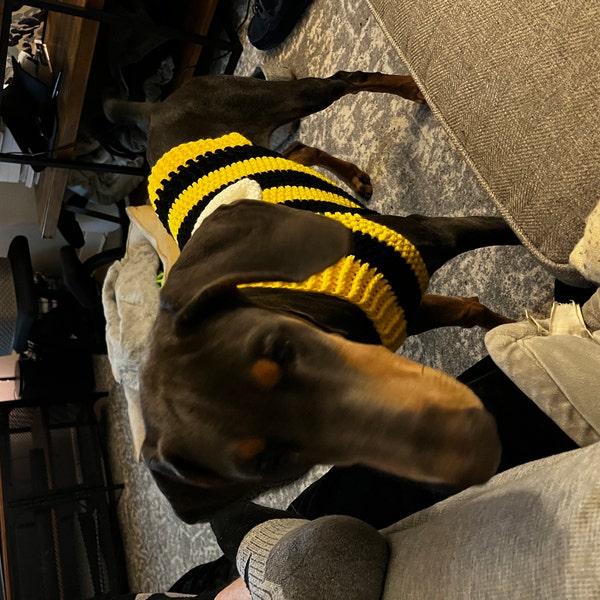 Bumblebee Dog Sweater / Halloween Costume Available in 4 Sizes - Etsy