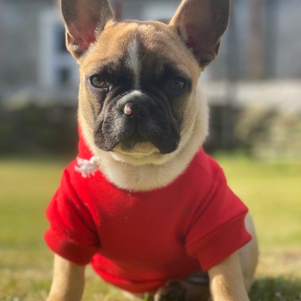 Red Dog Hoodie - Red Dog Sweater - Red Dog Jumper - Dog/puppy Clothing ...
