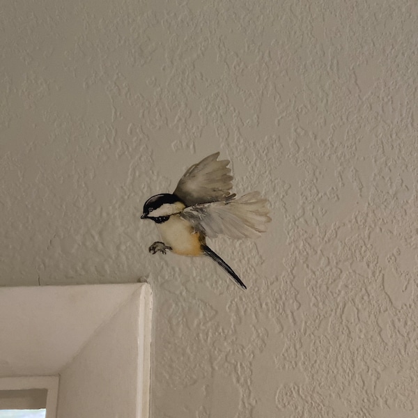 Flying Chickadee, Fabric Decal, Wall Decal Bird, Black-capped Chickadee ...