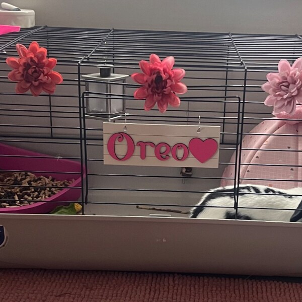 Personalized Pet Crate Sign | Personalized Hanging Crate Tag | Gift for ...