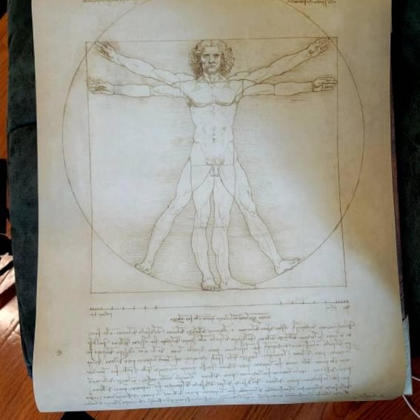 Occult Anatomy 2020 - Large Occult Poster (24x36), Occult Illustration ...