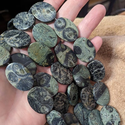 M/ Abalone Shell 10x15mm Flat Bone Beads 15.5 Strand Sea - Etsy